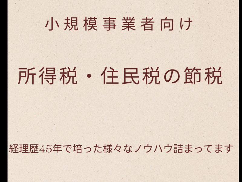 小規模事業者の所得税・住民税を合法的に納付せずお金を貯める入門講座 / 佐々木 佳和
